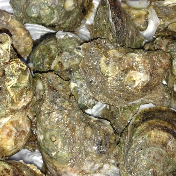 Captain Sid's - Cajun / Creole Restaurant in Metairie