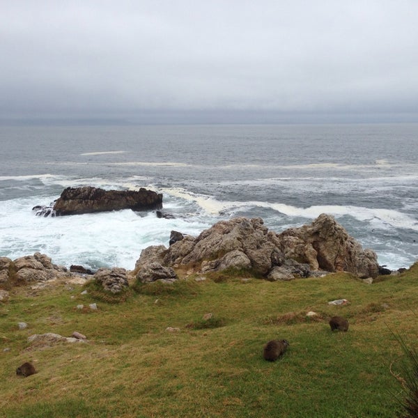 Hermanus - City