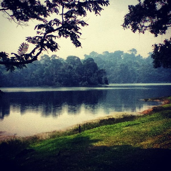 MacRitchie Reservoir Park - Central Catchment Nature Reserve - 62 tips