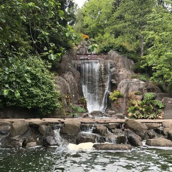 Huntington Falls - Golden Gate Park - 2 tips from 309 visitors