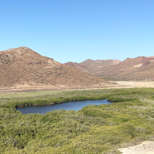 Playa Punta Balandra