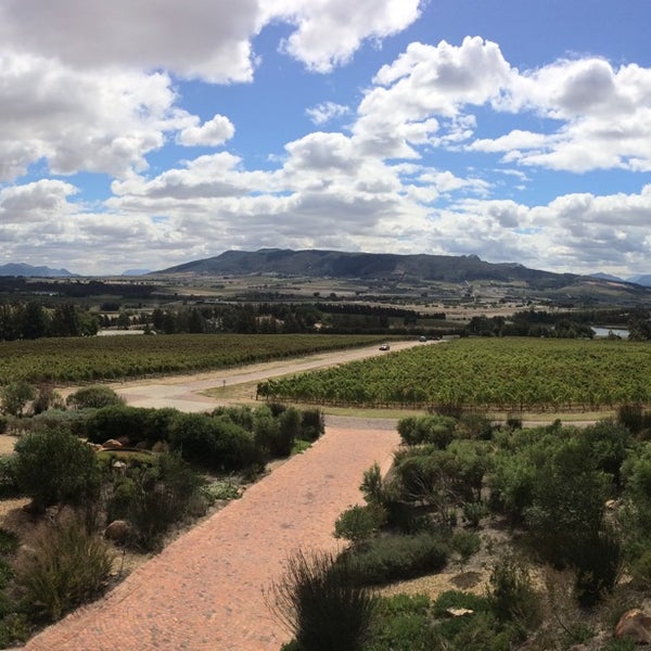 Glen Carlou - Winery