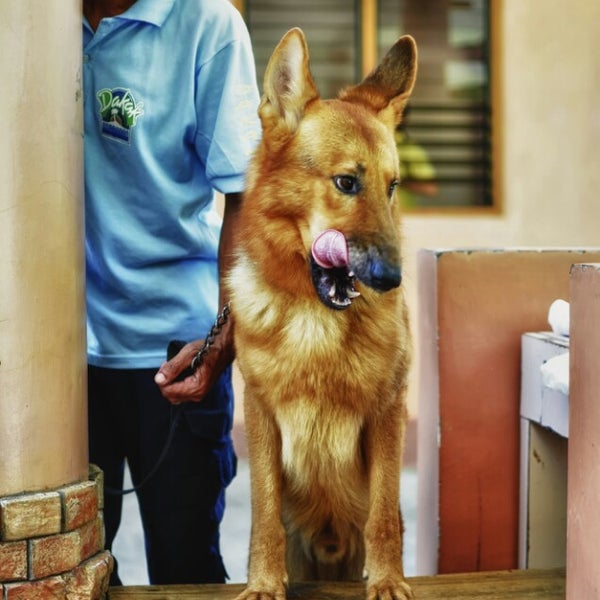 Dakak Park & Beach Resort - Dapitan, Zamboanga del Norte