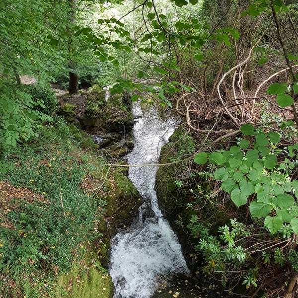 Donard Park - 98 visitors