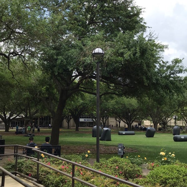 McNeese State University - University