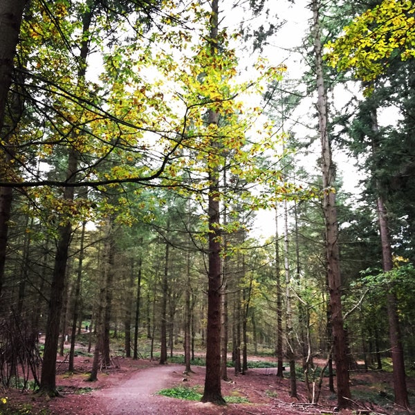 Wyre Forest - 4 tips