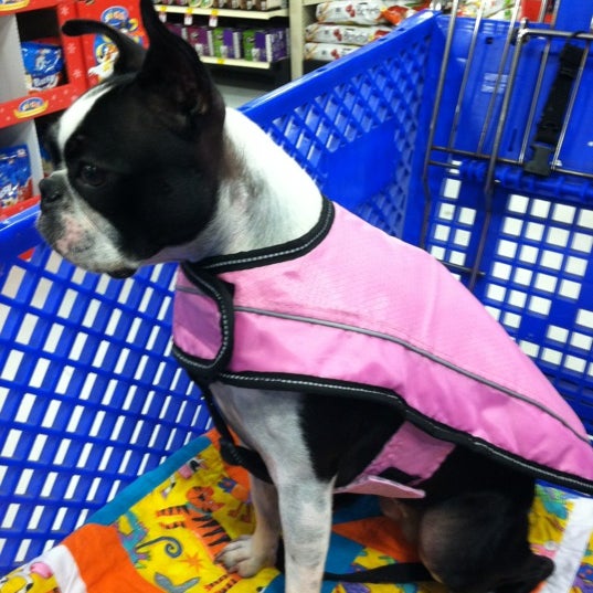 Petsmart Chula Vista Main Street - Black Apron