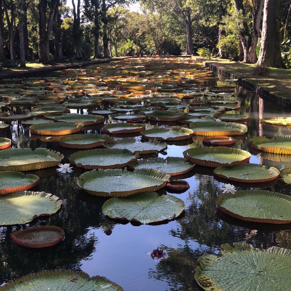 Pamplemousses - Pamplemousses, Pamplemousses District