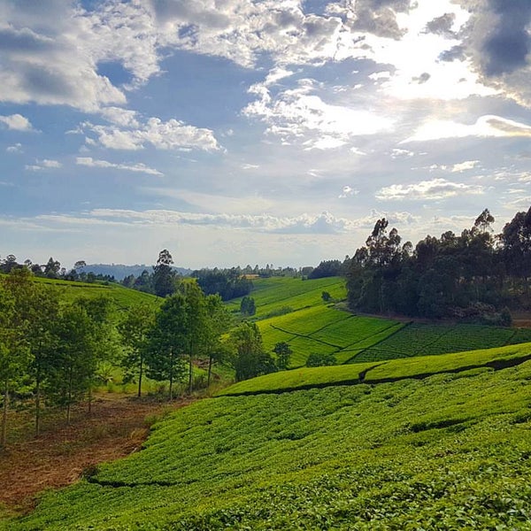 Karatina Town - General Travel in Karatina