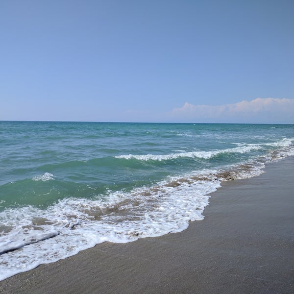 American Beach - Beach