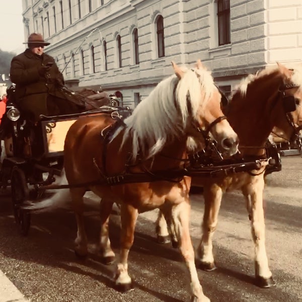 Rathausplatz - 2 tips
