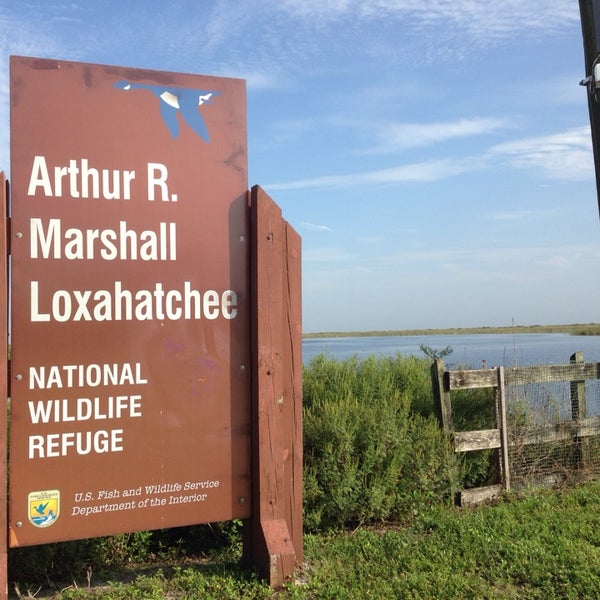 Arthur R. Marshall Loxahatchee National Wildlife Refuge - Loxahatchee, FL