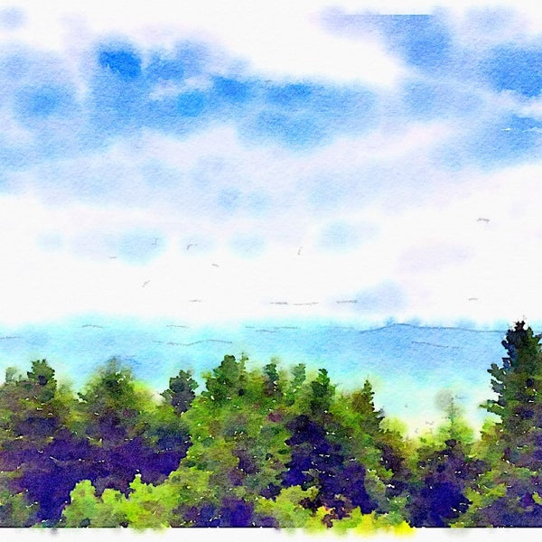 Spruce Knob - Mountain