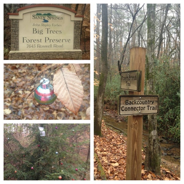 Big Trees Forest Preserve - Sandy Springs, GA