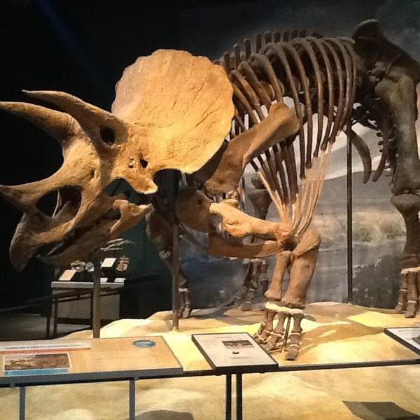 Science Museum of Minnesota - Science Museum in West Seventh