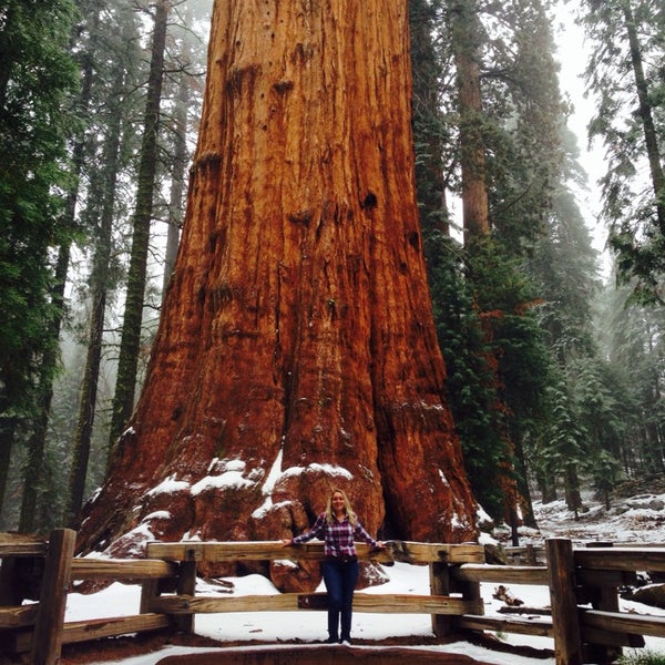Sequoia Park - 1 tip from 202 visitors