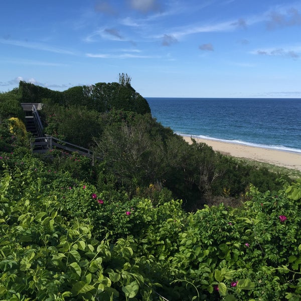 Sconset Bluff - Scenic Lookout