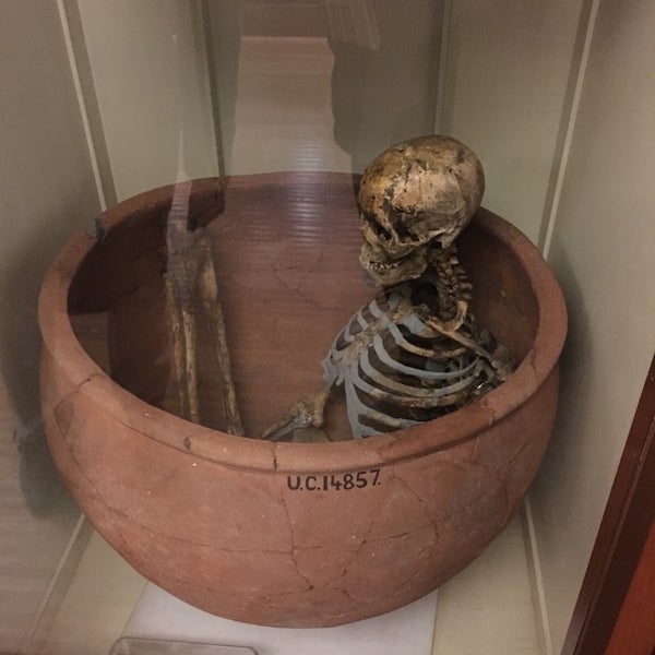 Petrie Museum of Egyptian Archaeology - Bloomsbury - Malet Pl