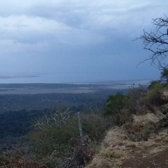 Lake Manyara - 1 tip