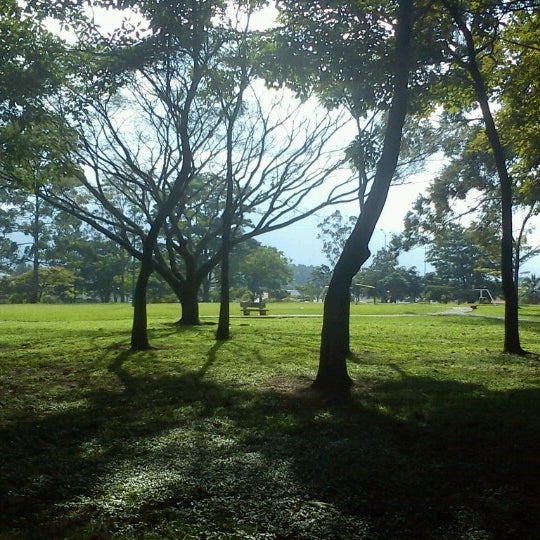 Parque El Bosque - Park in El Bosque