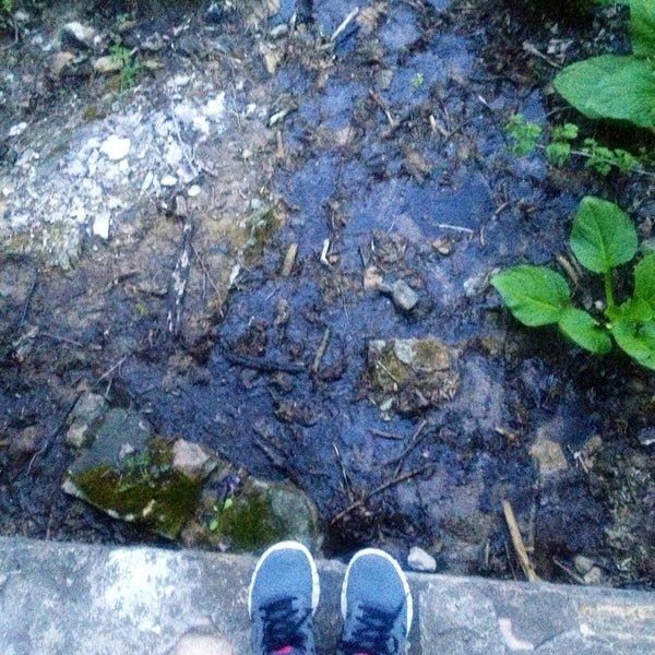 Petrifying Springs County Park - Kenosha, WI