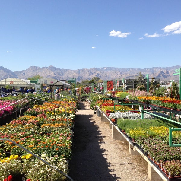 Mesquite Valley Growers - 7847 E 3rd St