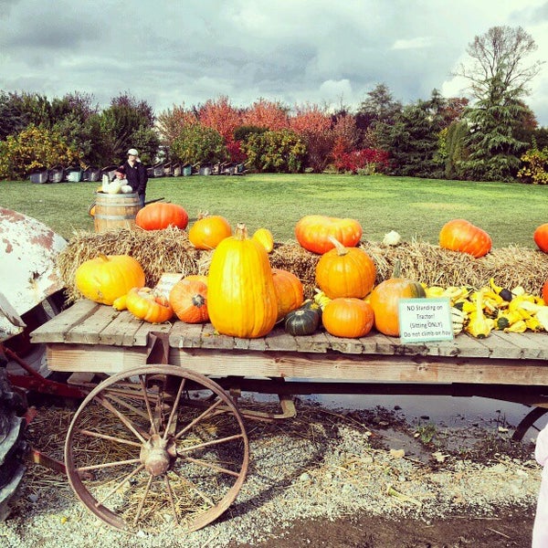 The Farm at Swan's Trail - 13 tips from 1083 visitors