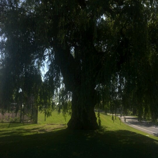 Burnet Park - Park in Syracuse