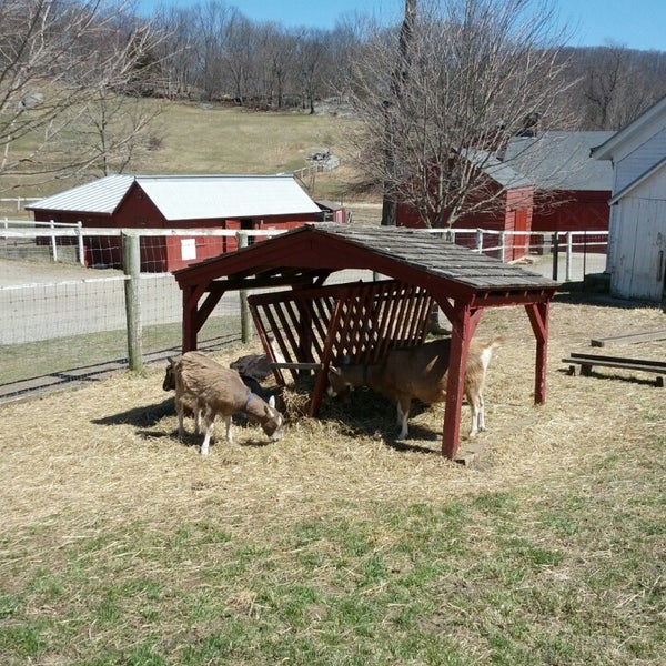 Muscoot Farm - 19 tips from 816 visitors