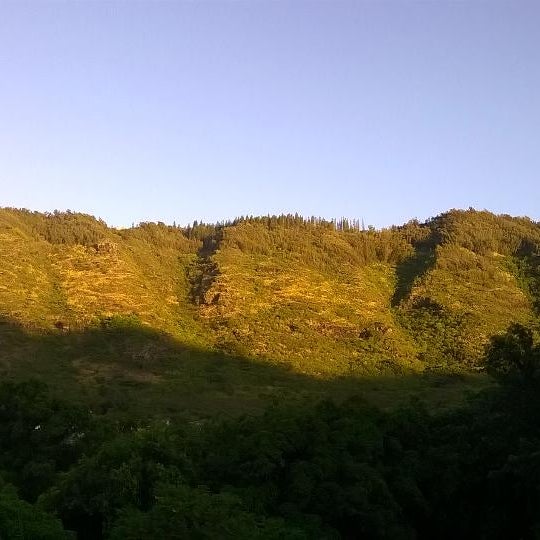 Palolo Valley, Hawaii - Palolo - Honolulu, HI