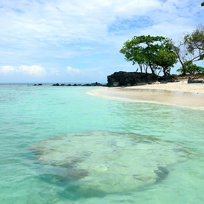 Pulau Sepa Island Resort - Resort