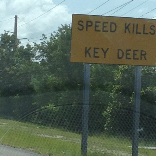 Lower Sugarloaf Key - 3 tips