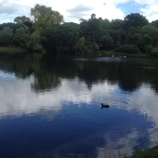 Hampstead Heath Ponds - Lake in Hampstead Town
