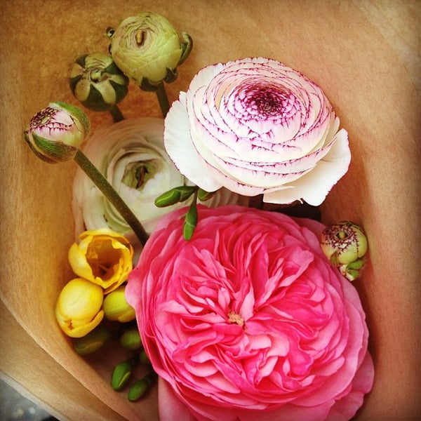 Stem - Flower Shop in Fort Greene