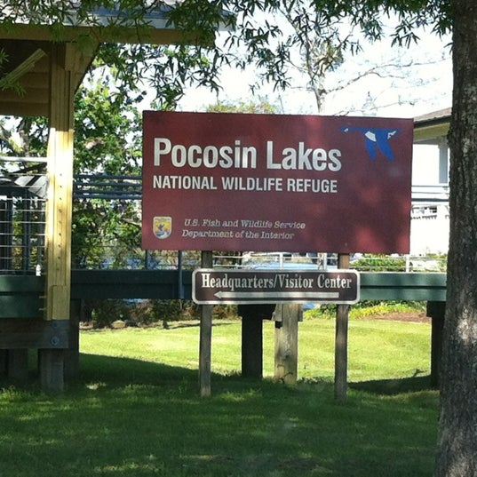 Pocosin Lakes National Wildlife Refuge - Other Great Outdoors