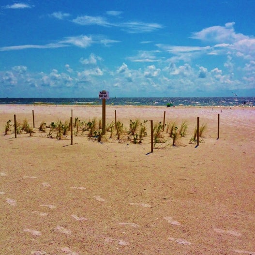 Bowditch Point Beach - Beach