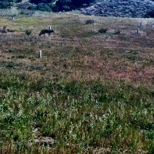 Chesebro Trail - Trail