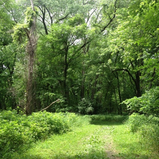 Walnut Woods State Park - 5 tips