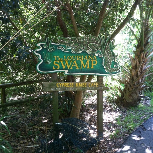 Swamp At Audubon Zoo - Zoo Exhibit in New Orleans