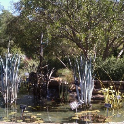 Mercer Arboretum & Botanic Gardens - Garden in Humble