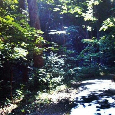 Powder Valley Conservation Nature Center - Kirkwood, MO