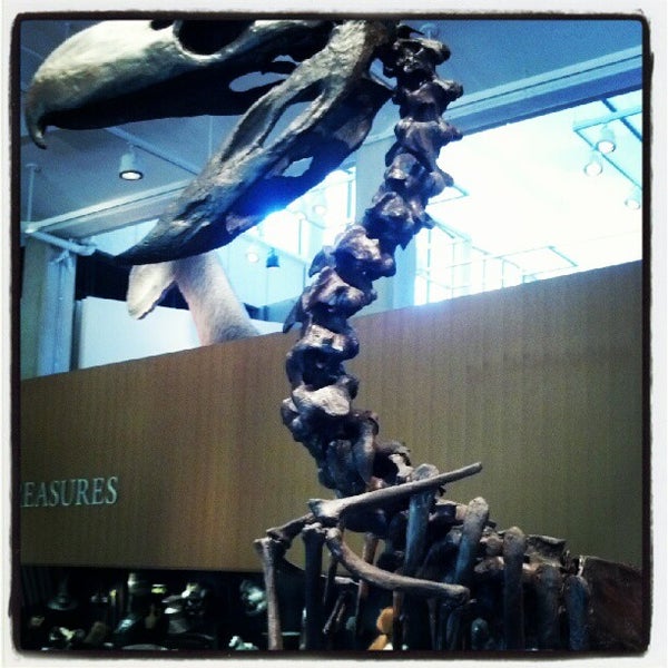 Burke Museum - Science Museum in Seattle