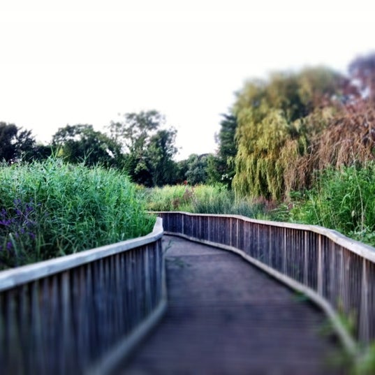 Dulwich Park - Dulwich Village - 30 tips from 1232 visitors