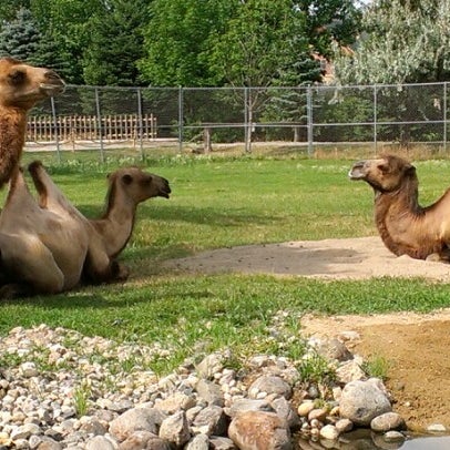 Red River Zoo - 12 tips