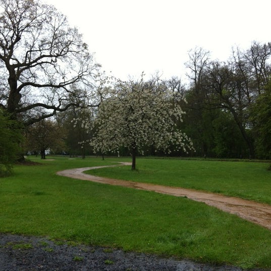 Hylands Park - 5 tips from 641 visitors