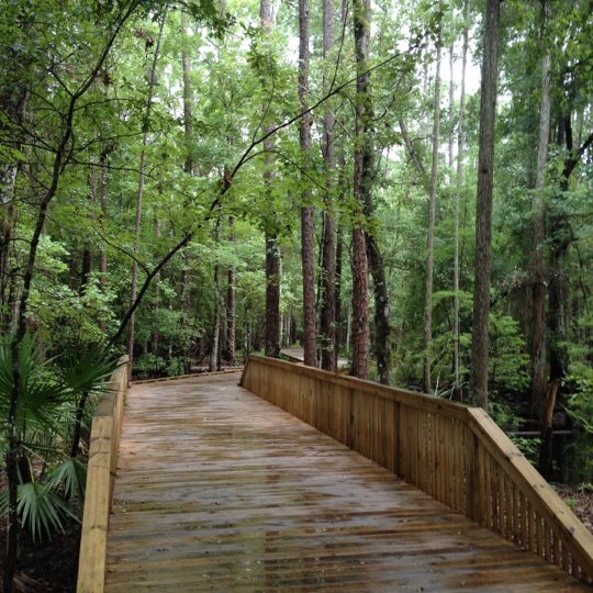 Shingle Creek Park - Trail in Kissimmee