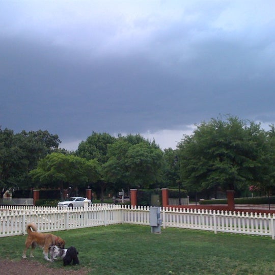 Meadows Foundation Dog Park - Dog Run in Dallas