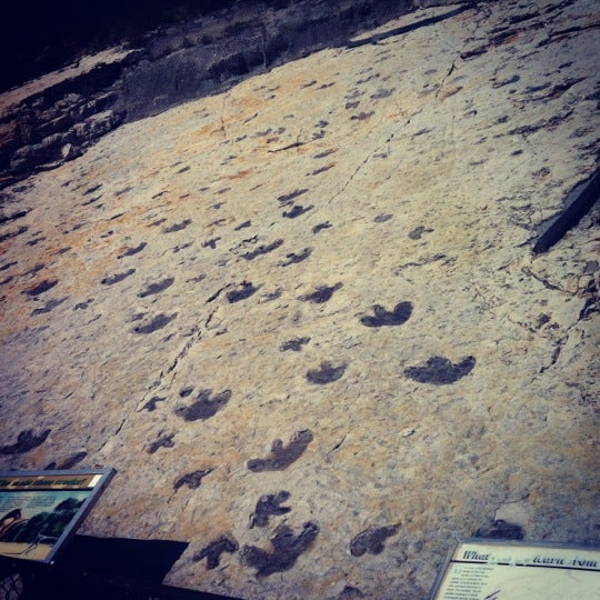 Dinosaur Ridge - Trail