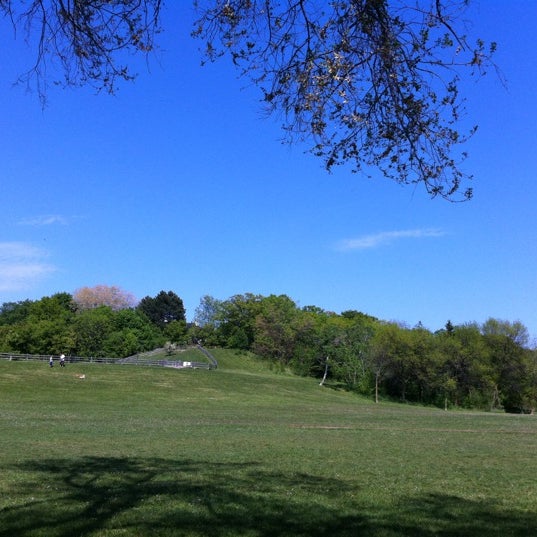Cedarvale Park - Field