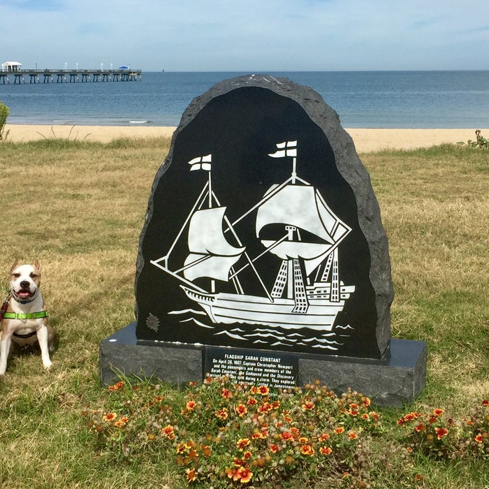 Sarah Constant Beach Park reviews, photos - Norfolk - GayCities Norfolk